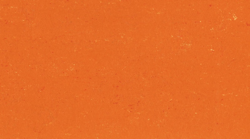 Colorette PUR 2.5 2-5-137-118 – Натуральный линолеум DLW colorette-pur ...