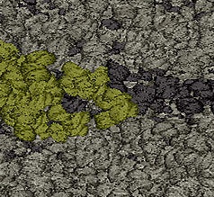 Human Connections Moss in stone 8340001 – Ковровая плитка Interface ...